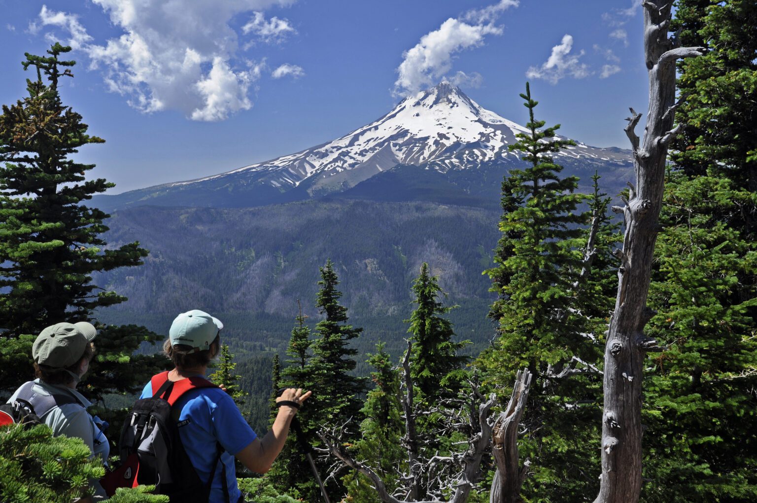 Hike: Bluegrass Ridge - Mt. Hood Wilderness - Oregon Wild