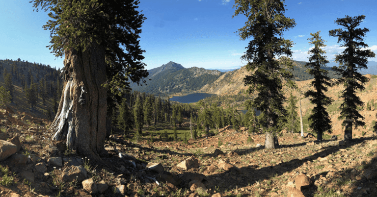 The Wonder of the Klamath Mountains - Oregon Wild