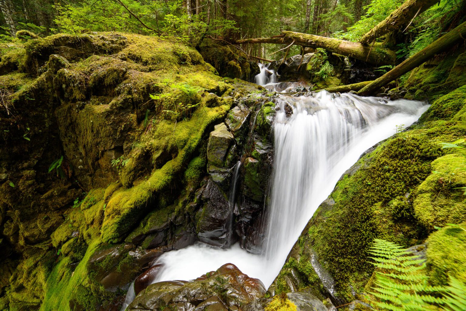 Mount Hood - Oregon Wild