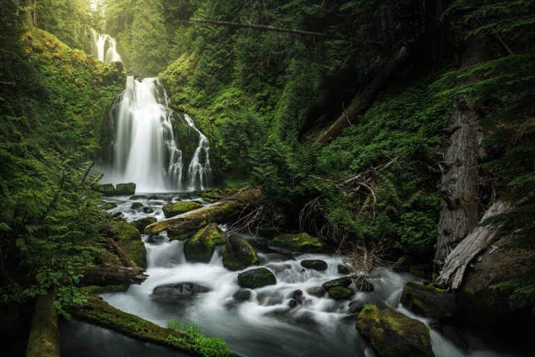 Part 5: Books, Resources, and Other Outdoor Groups - Oregon Wild