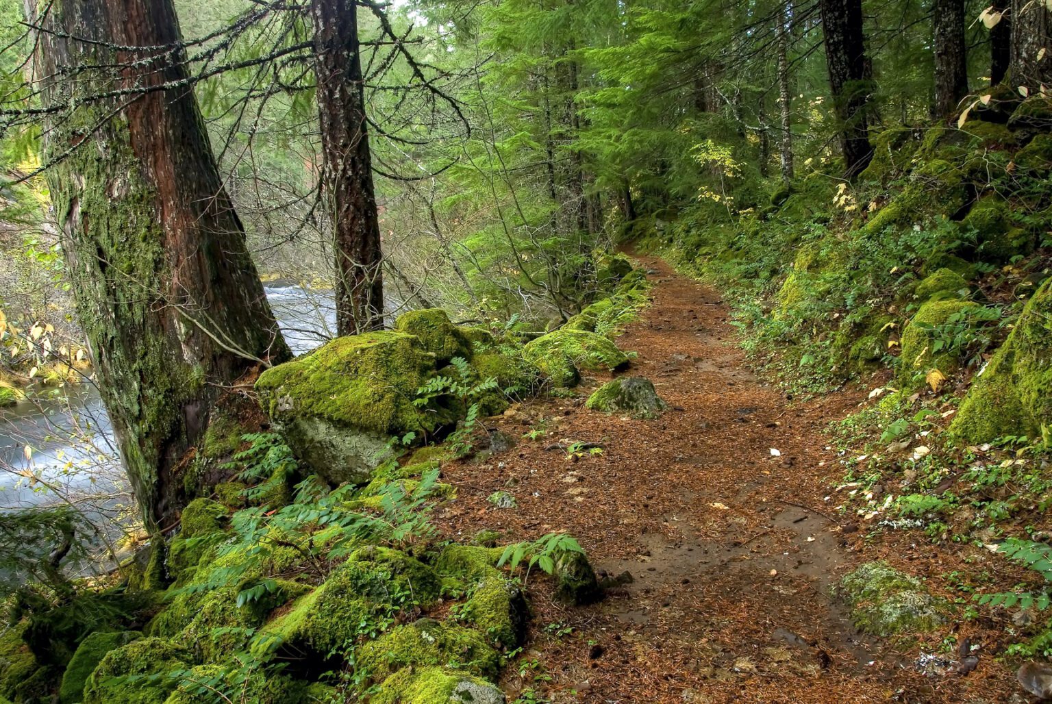 Webcasts + Events - Oregon Wild