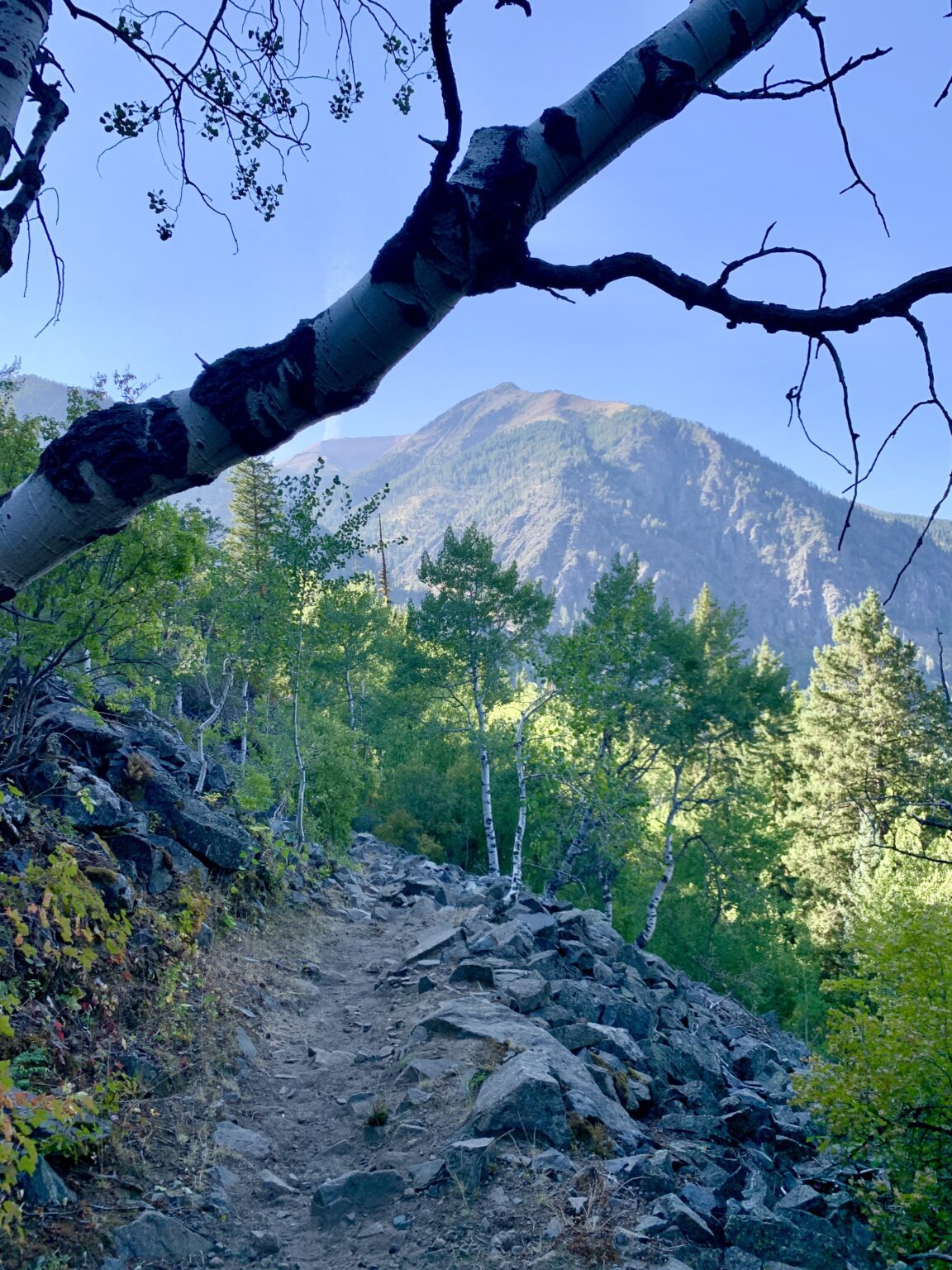 Celebrating 60 Years of the Wilderness Act: Reflecting on Oregon's Wild ...