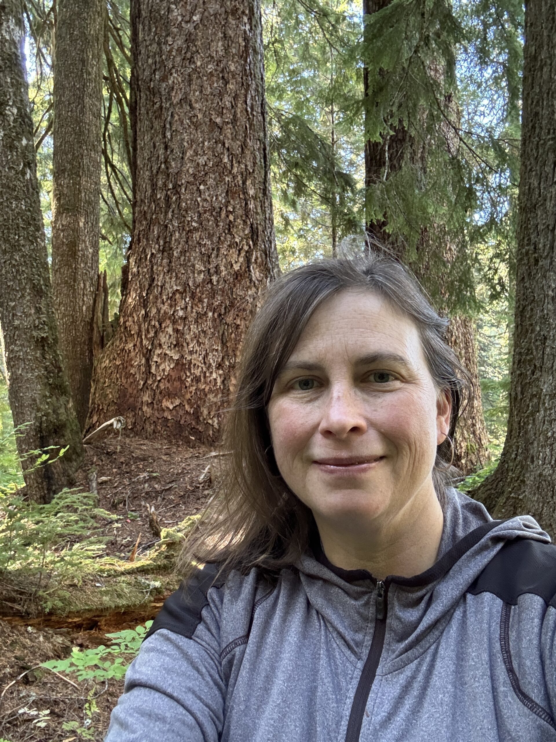 Crabtree Valley: Protecting Ancient Forests Never Gets Old - Oregon Wild