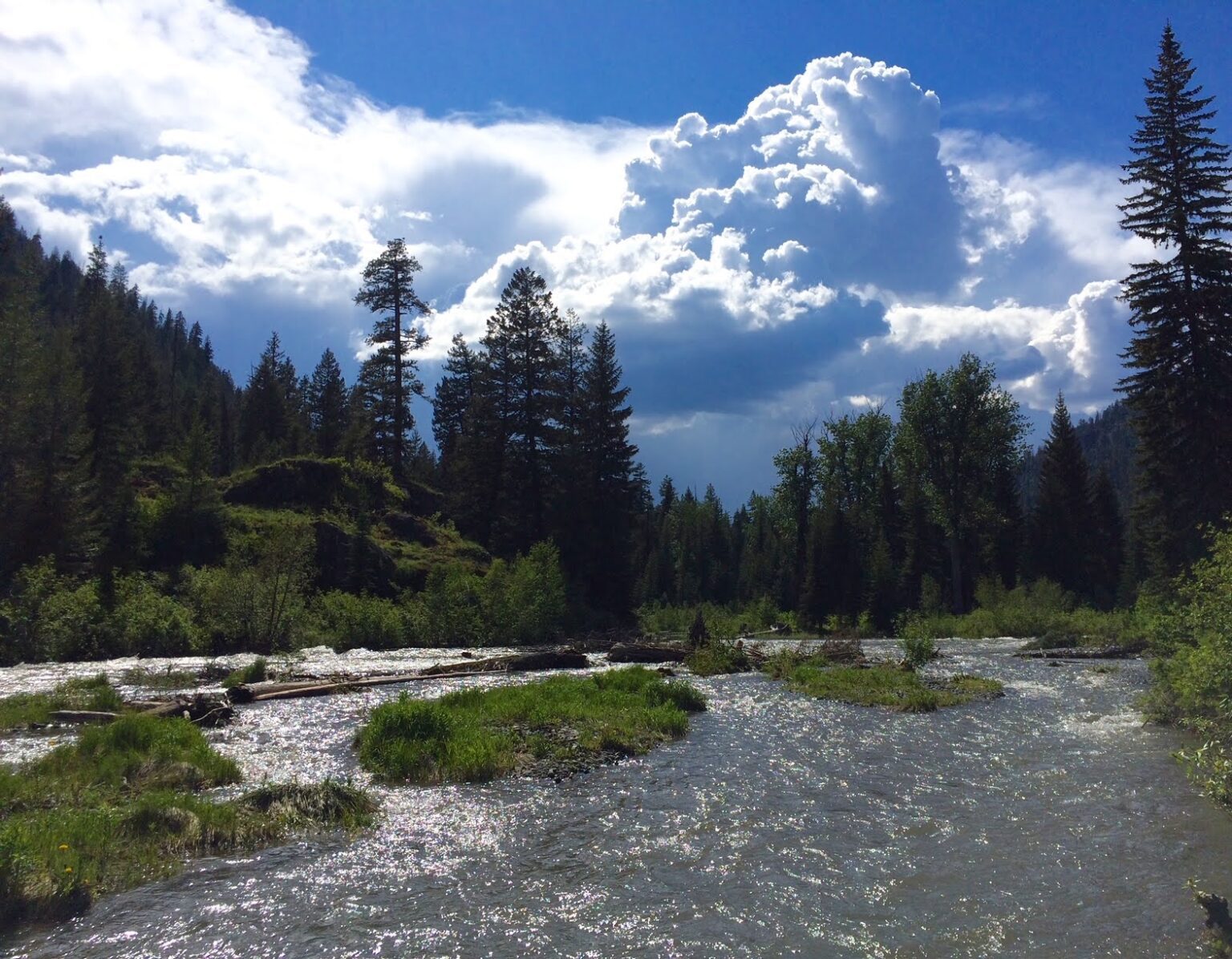 Imnaha River: Wolves, Wilderness, and Wildlands - Oregon Wild
