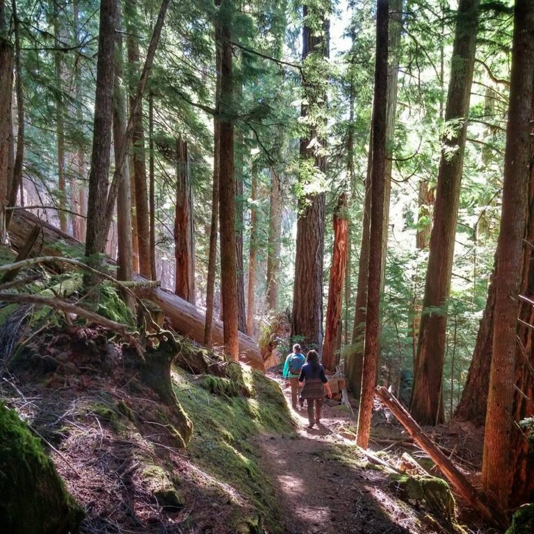 Upper Middle Fork Willamette Trail - Oregon Wild