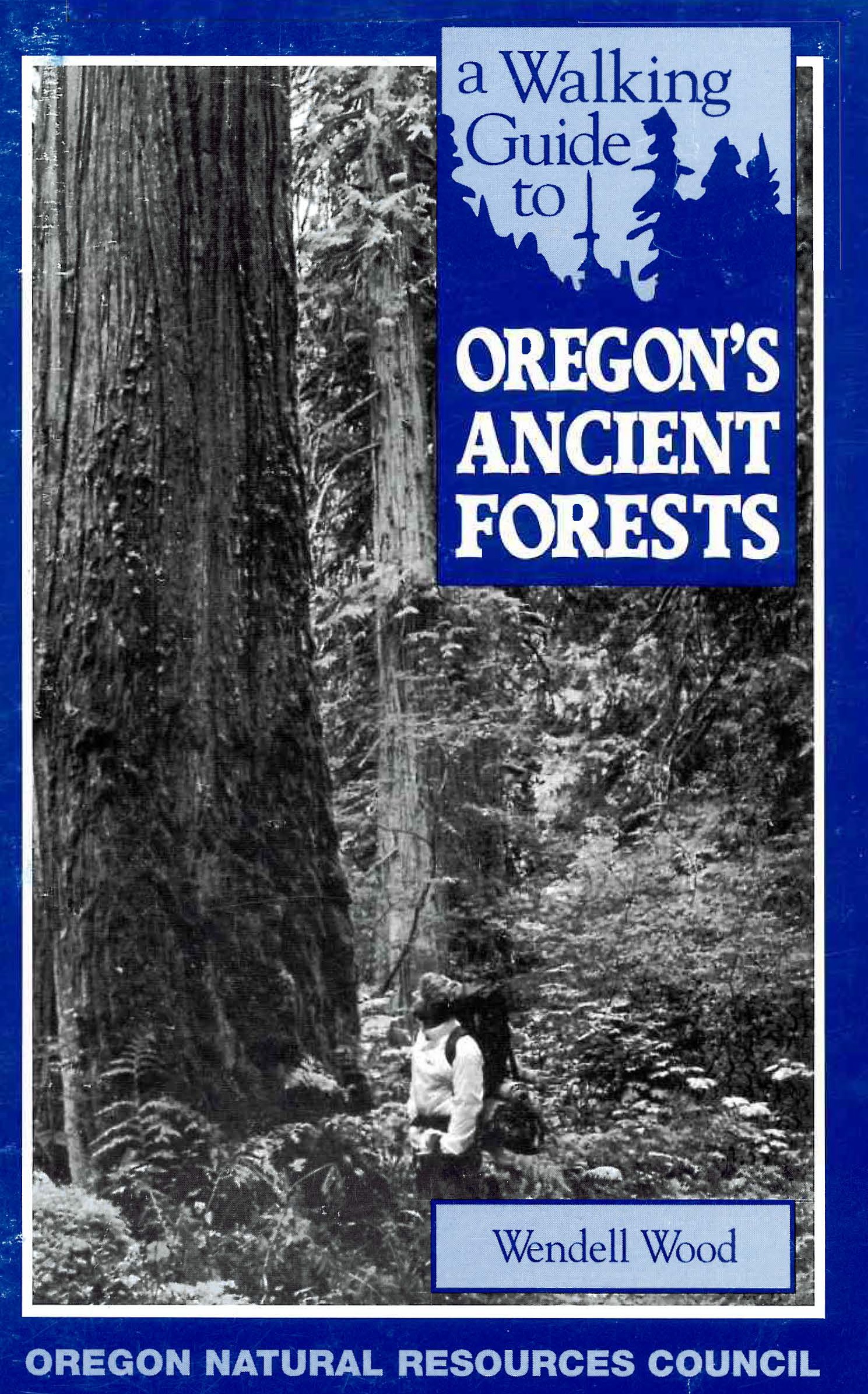 Oregon's Ancient Forests: A hiking guide - Oregon Wild