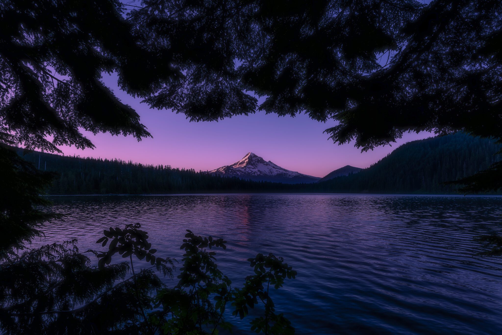 Home - Oregon Wild